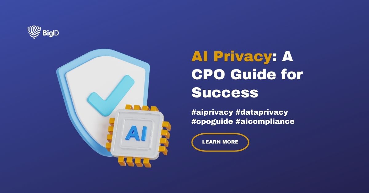 AI Privacy: A CPO Guide for Success | BigID