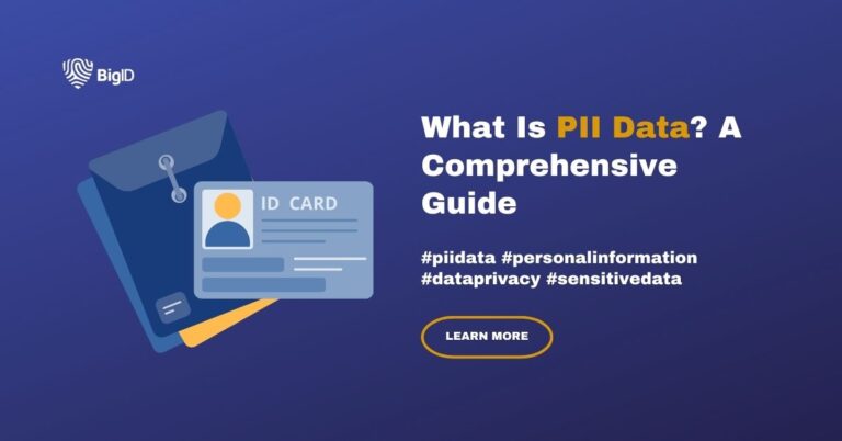 What Is PII Data? A Comprehensive Guide | BigID
