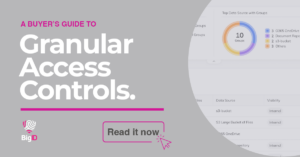 The Importance of Granular Access Controls for Sensitive Data | BigID