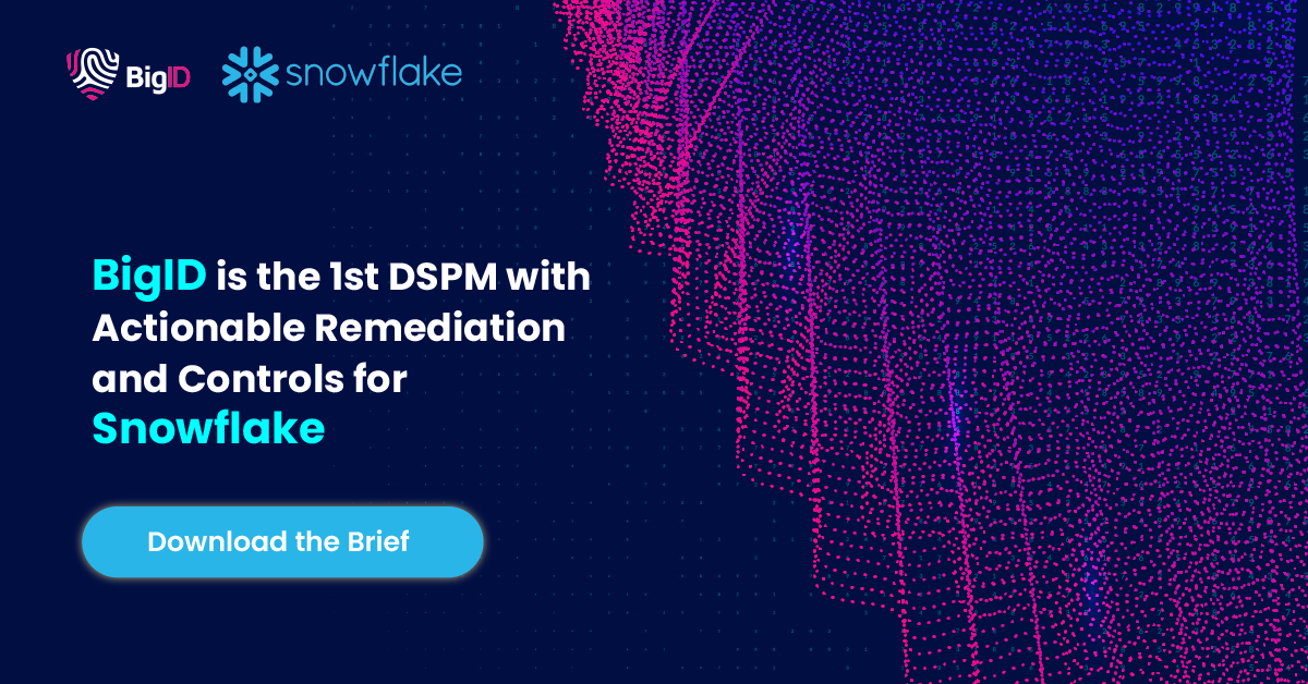 Stronger Together: BigID and Our Partners Safeguarding Data in the AI Era | BigID