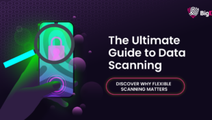 Data Types Demystified: Structured vs Unstructured Data | BigID