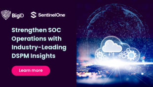 Streamlining Data Remediation: Best Practices Guide | BigID