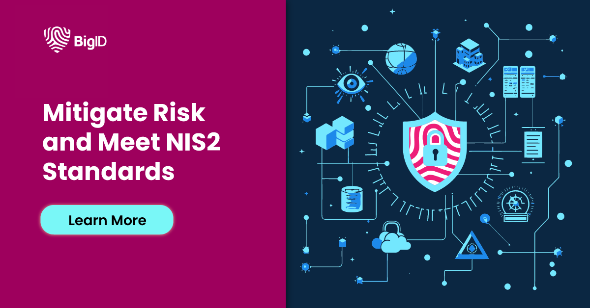 Mitigating Risk and Meeting NIS2 Requirements: A Comprehensive Guide ...