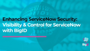 Navigating Data Subject Access Request (DSAR) | BigID