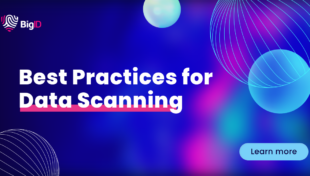 Data Types Demystified: Structured vs Unstructured Data | BigID