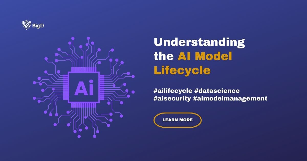 Understanding the AI Model Lifecycle | BigID
