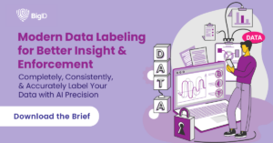 Tagging and labeling for structured and unstructured data | BigID