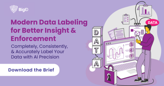 Tagging and labeling for structured and unstructured data | BigID