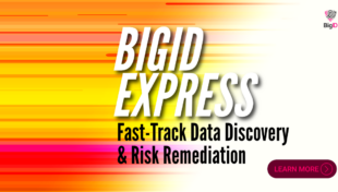 Embracing Data Transparency | BigID