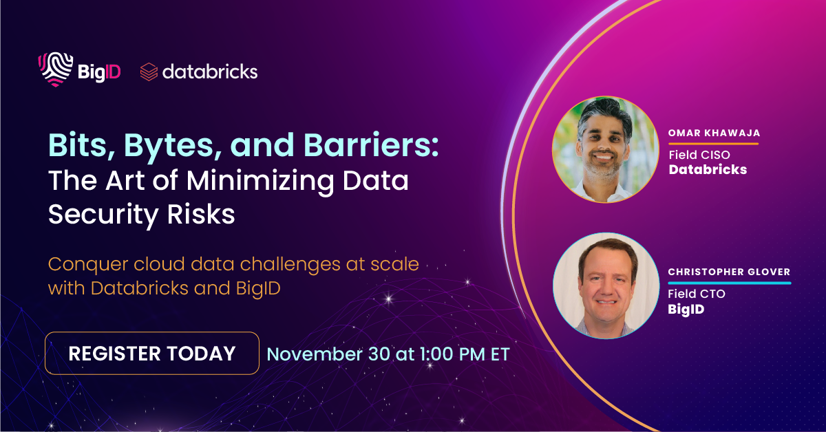 The Art of Minimizing Data Security Risk: A Webinar with Databricks | BigID