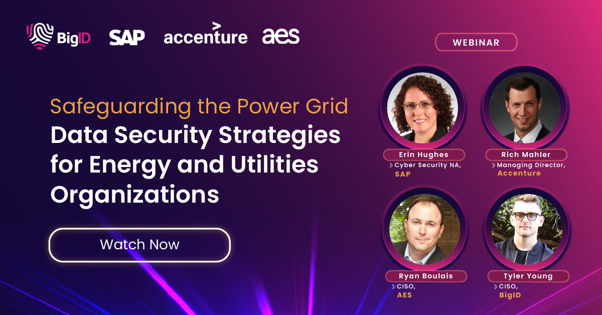 Safeguarding the Power Grid: Data Security Strategies for Energy and Utilities Organizations | BigID