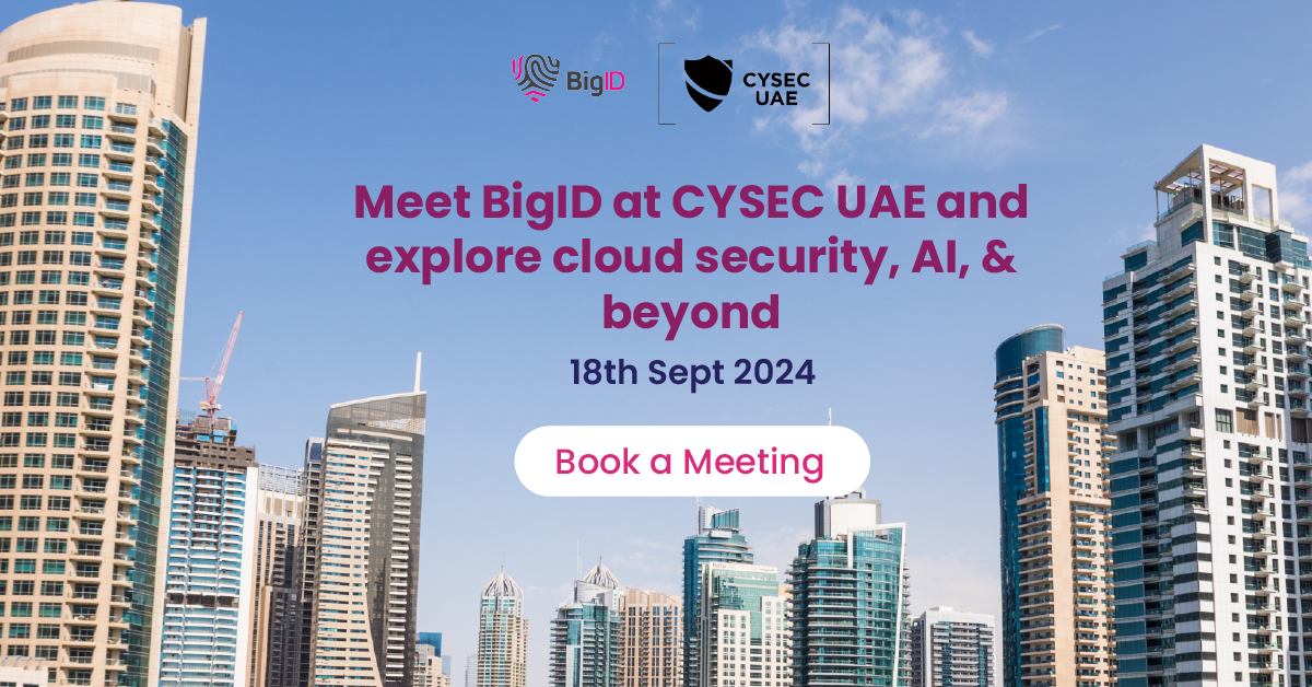 CYSEC UAE | BigID