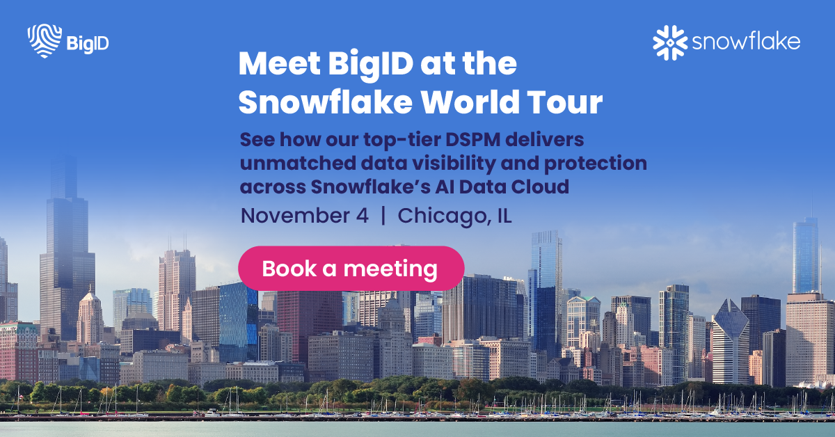 Snowflake World Tour | BigID