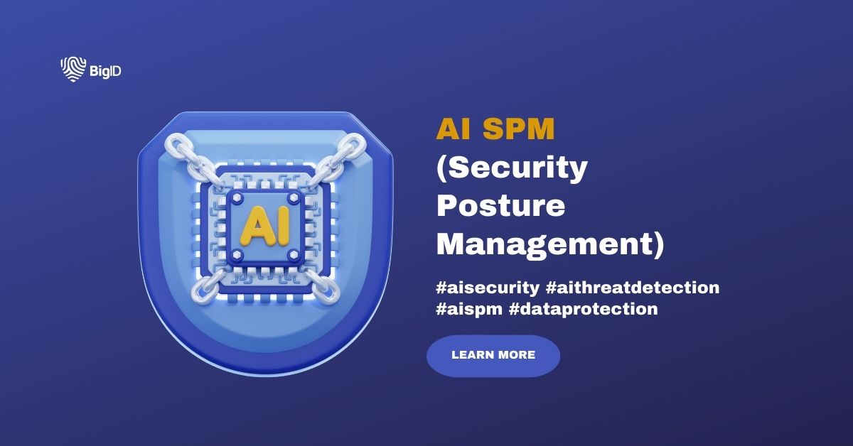 AI SPM: AI Security Posture Management | BigID