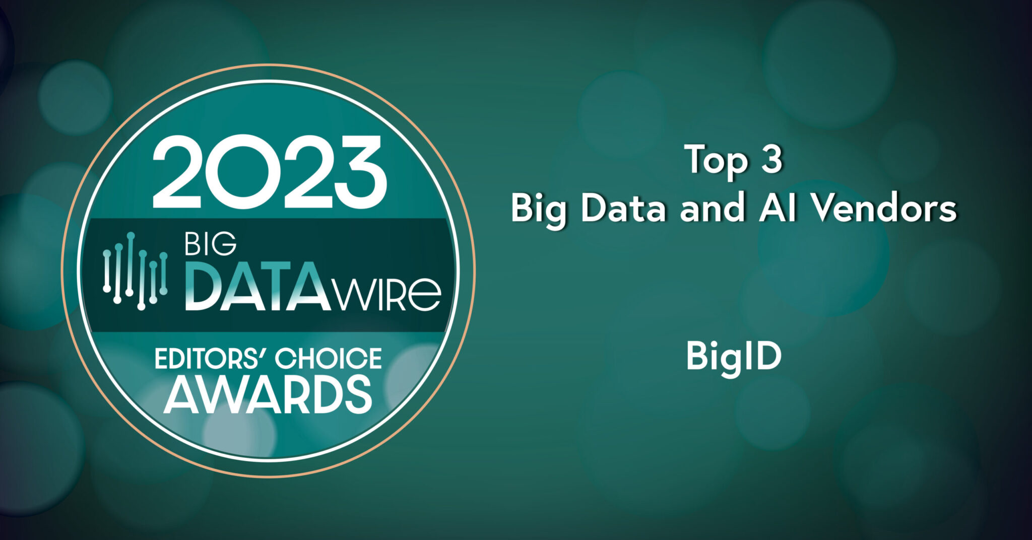 Connect the Dots In Data & AI | BigID