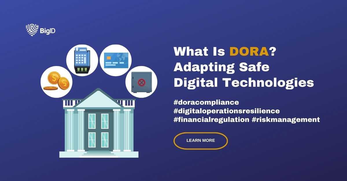 What Is DORA? Adapting Safe Digital Technologies | BigID