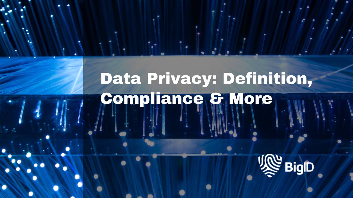 Data Privacy: Definition, Compliance & More | BigID