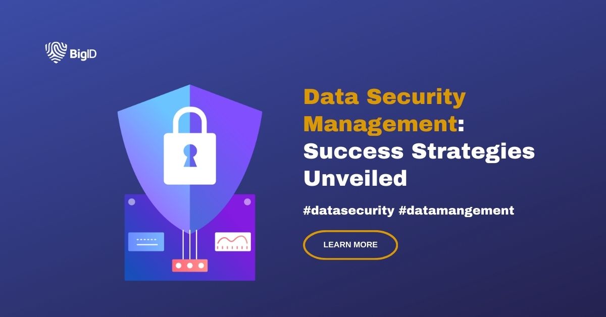 Data Security Management: Success Strategies Unveiled | BigID