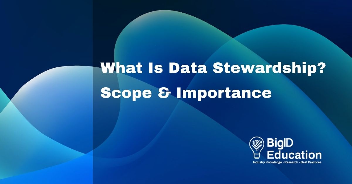 What Is Data Stewardship? Scope & Importance | BigID
