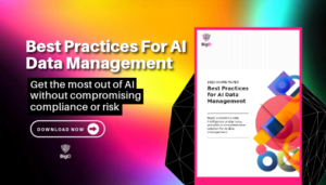 Agentic AI Governance: The Future of AI Oversight | BigID