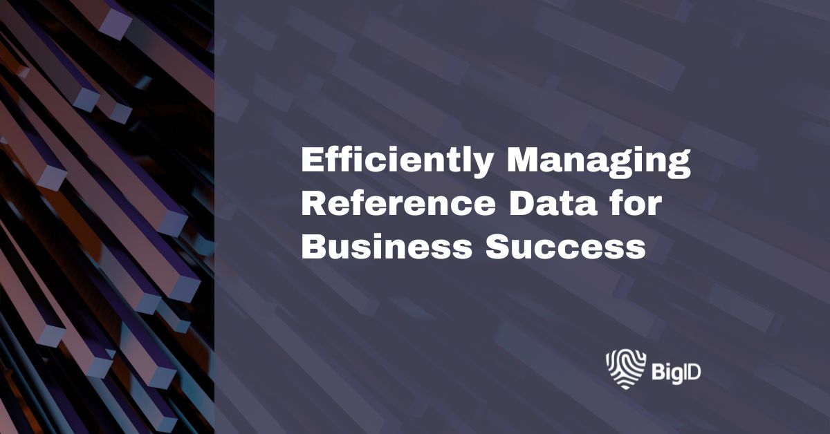 Efficiently Managing Reference Data for Business Success | BigID