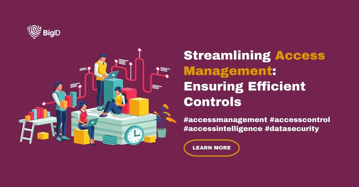 Streamlining Access Management: Ensuring Efficient Controls | BigID