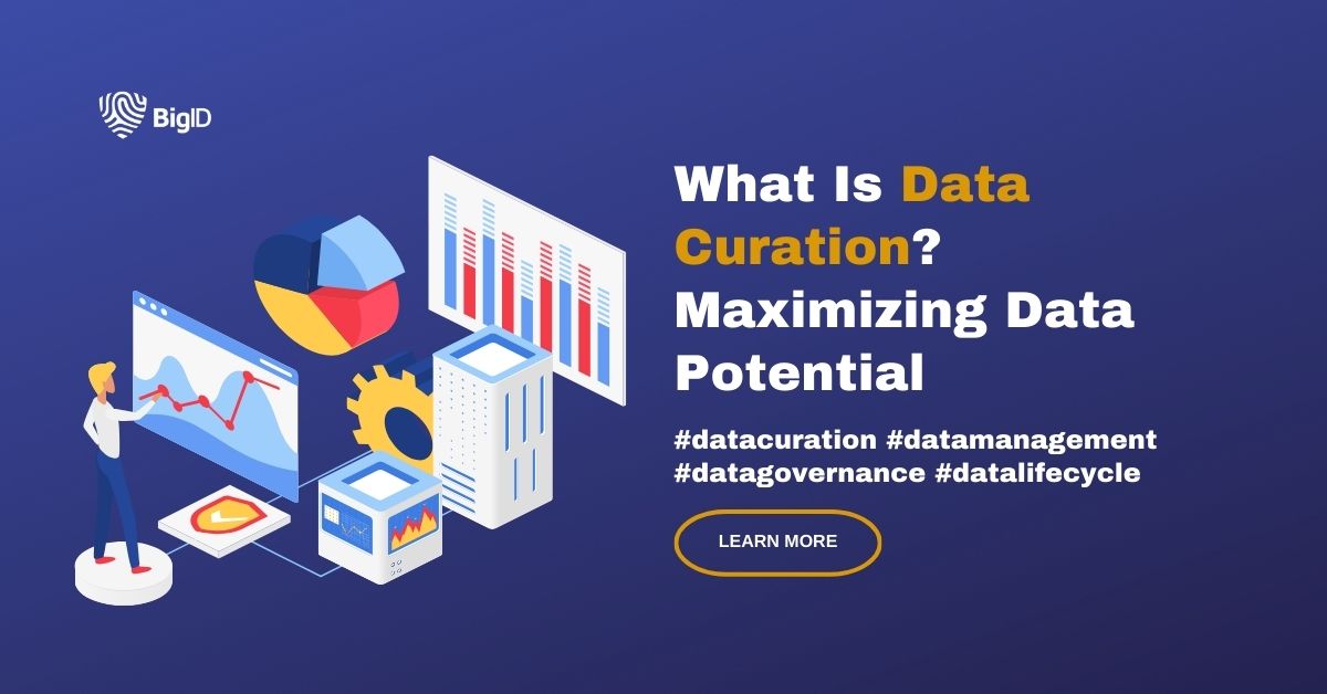 What Is Data Curation? Maximizing Data Potential | BigID