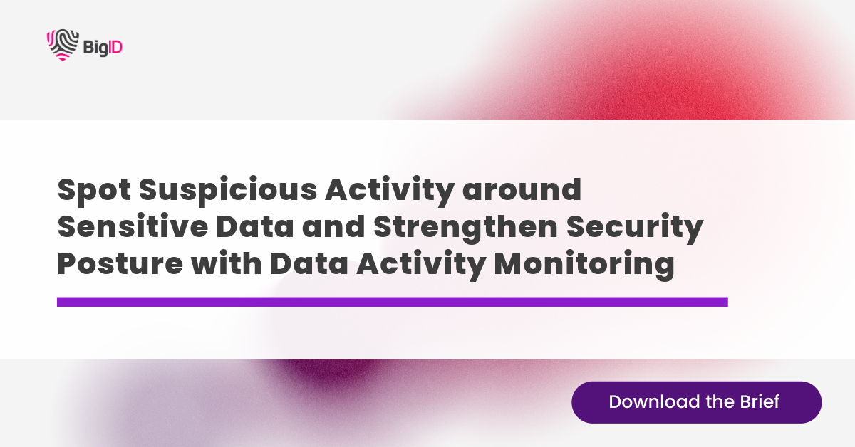 Database Activity Monitoring (DAM) Guide | BigID