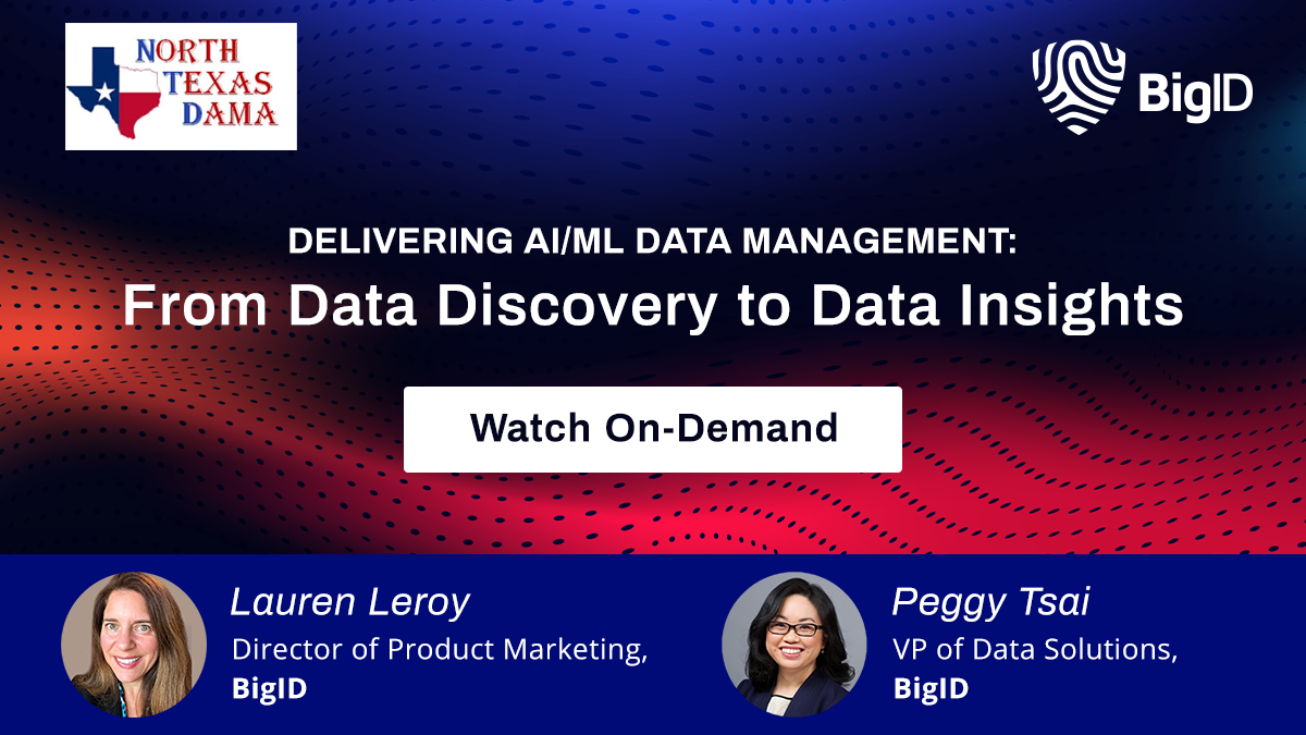 Delivering AI/ML Data Management: From Data Discovery to Data Insights ...