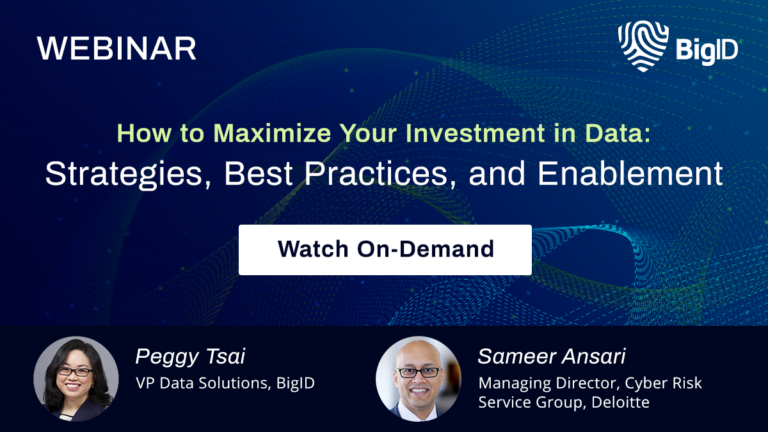 How to Maximize Your Investment in Data | BigID