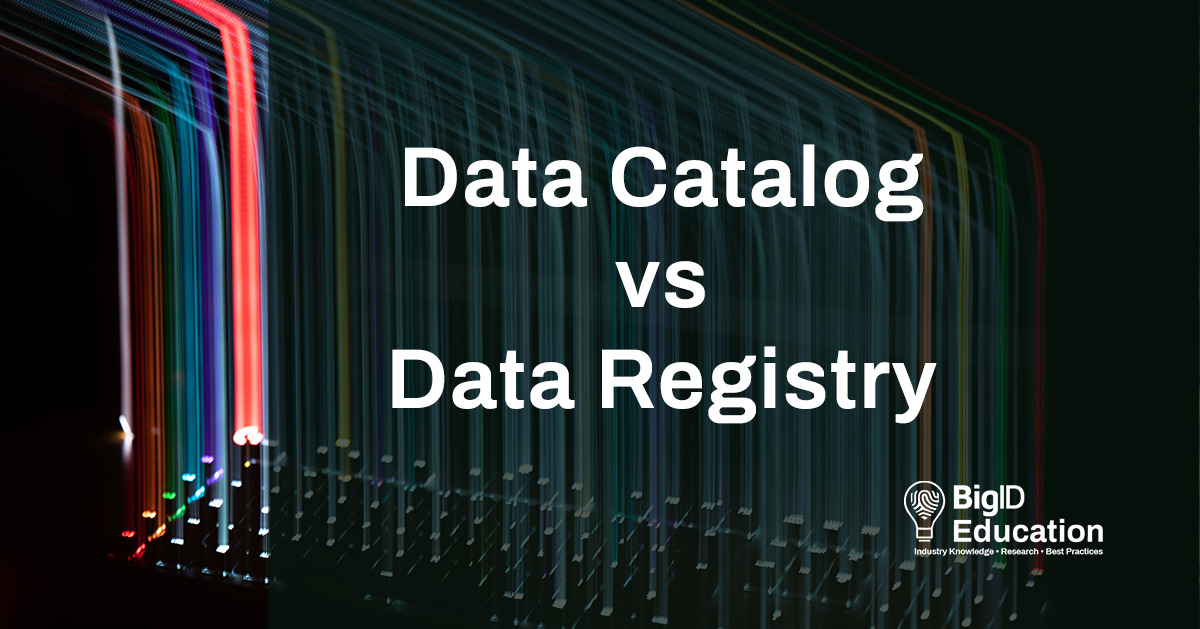 Data Catalog vs Data Registry | BigID