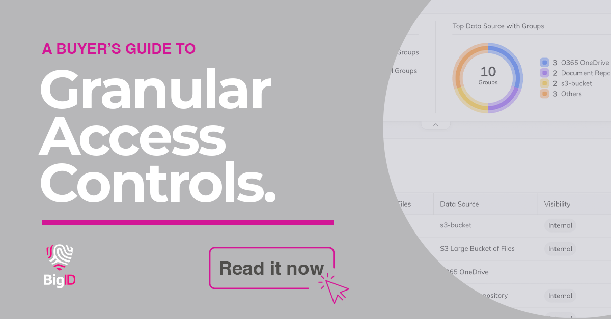 The Importance of Granular Access Controls for Sensitive Data | BigID The Importance of Granular Access Controls for Sensitive Data | BigID