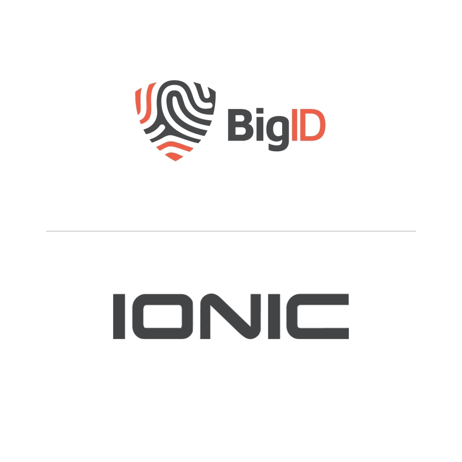 Ionic Security | BigID