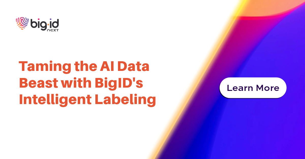 How BigID Tames the AI Data Beast | BigID