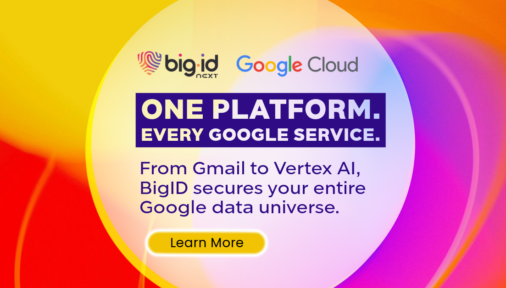 What Is File Security? Essential Guide | BigID