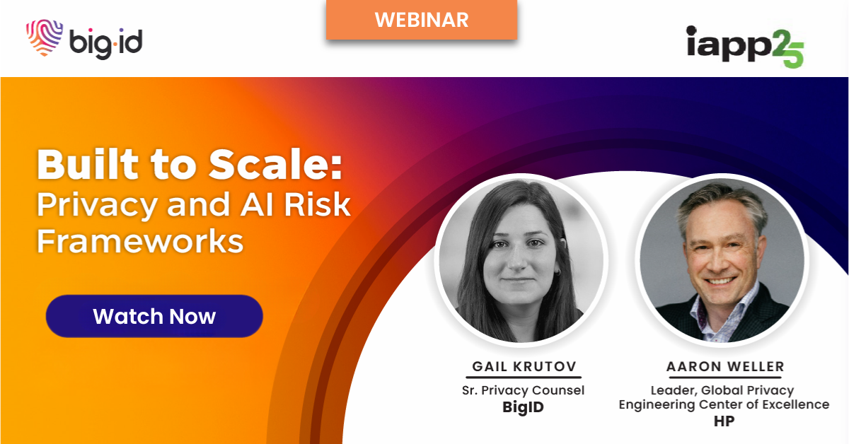 Built to Scale: Privacy and AI Risk Frameworks | BigID