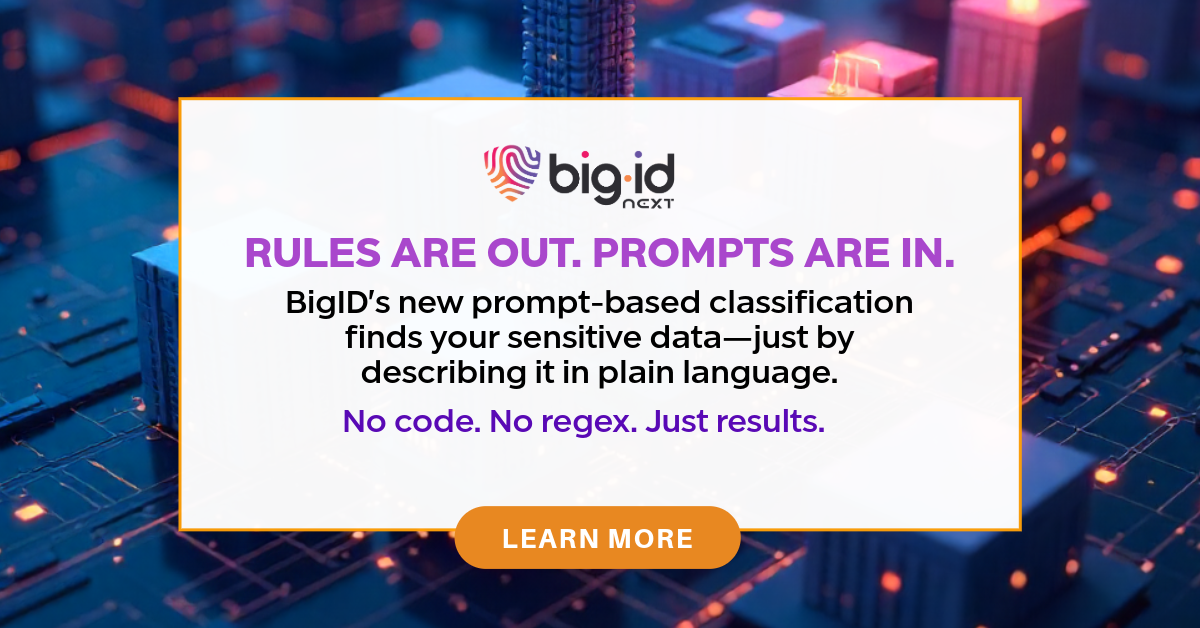 Redefining Data Discovery Through Natural Language and Prompt-based Classification | BigID