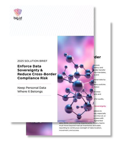 Cross-Border Crackdown: How BigID Helps You Get Ahead of DOJ EO 14117 ...